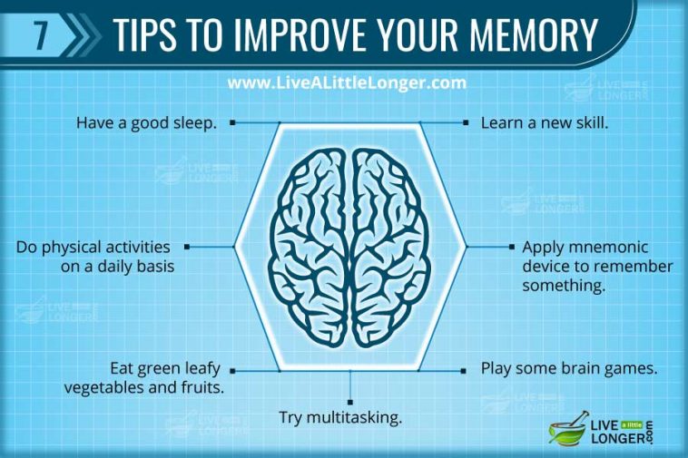 7 Best Ways To Improve Your Memory | Live A Little Longer