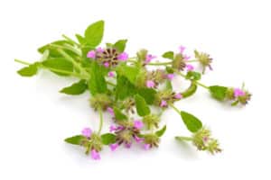 10 Home Remedies For Miscarriage That Are Safe